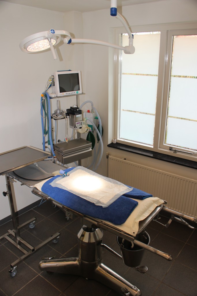 De kliniek - Dierenkliniek Ittersum Zwolle